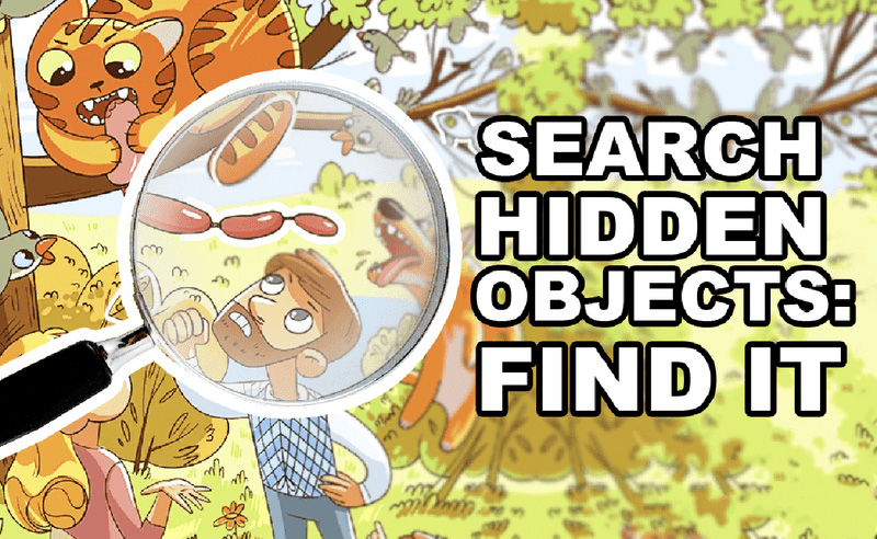 Search Hidden Objects: Find It
